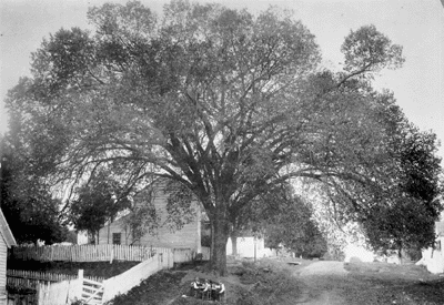 The History Museum » Indiana Admitted as the 19th State